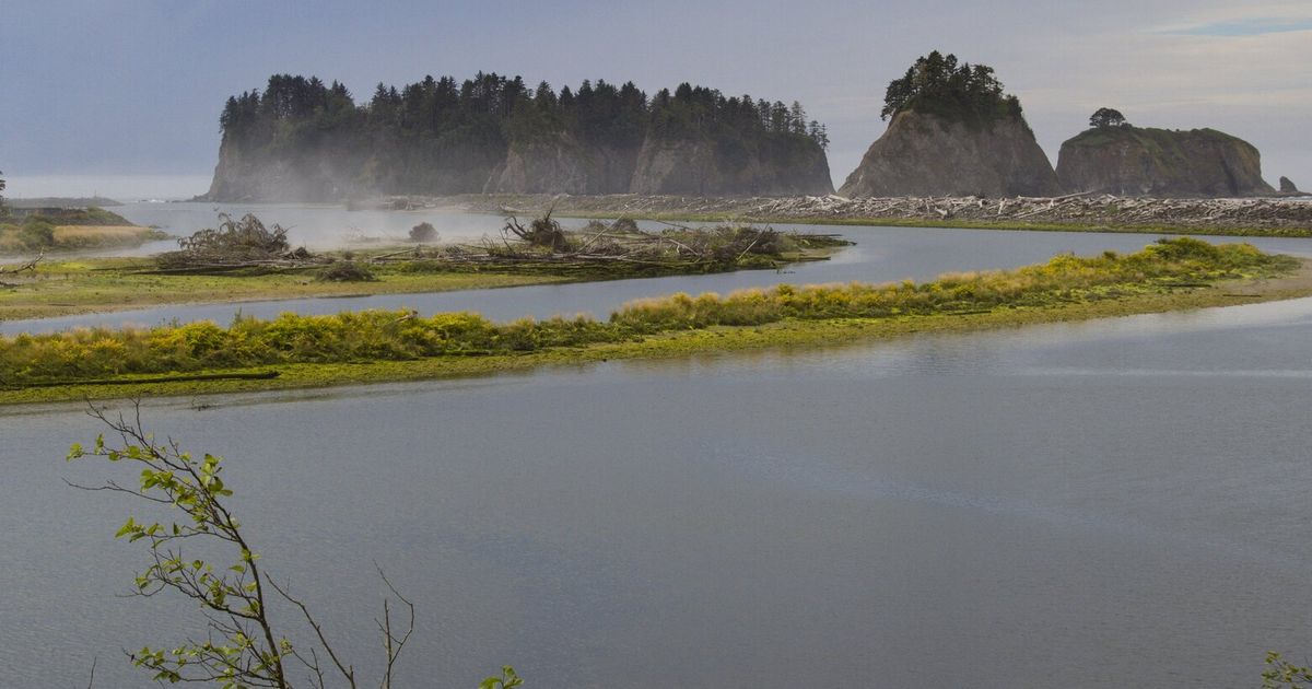 Fishing on most WA coastal rivers closes amid record low river levels ...