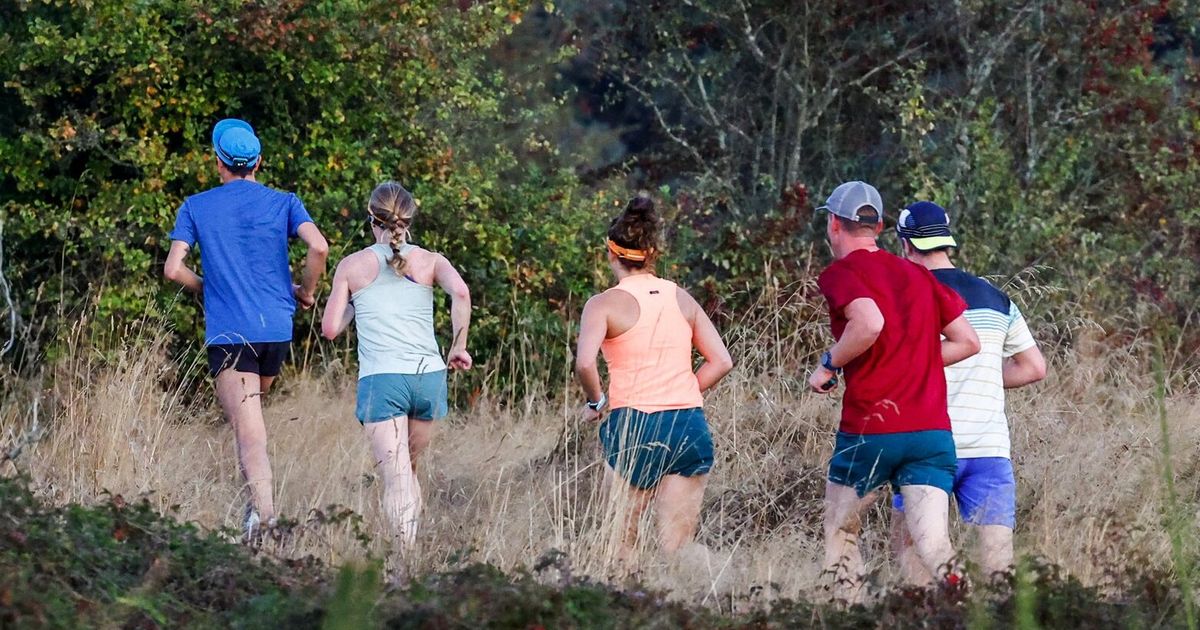 Fall is a great time to try trail running. Here’s how to get started ...