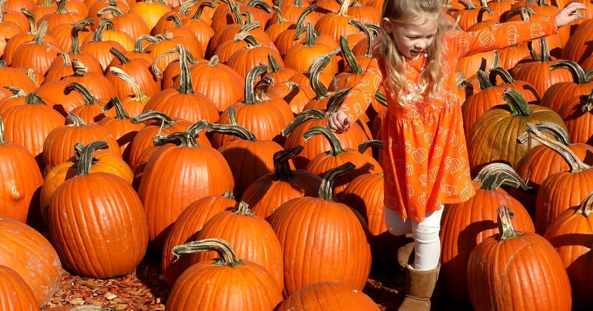 11 things to do in the Seattle area this weekend | The Seattle Times