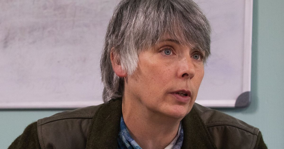 Investors, 80 ex-staffers demand new leadership at Seattle’s Forterra ...