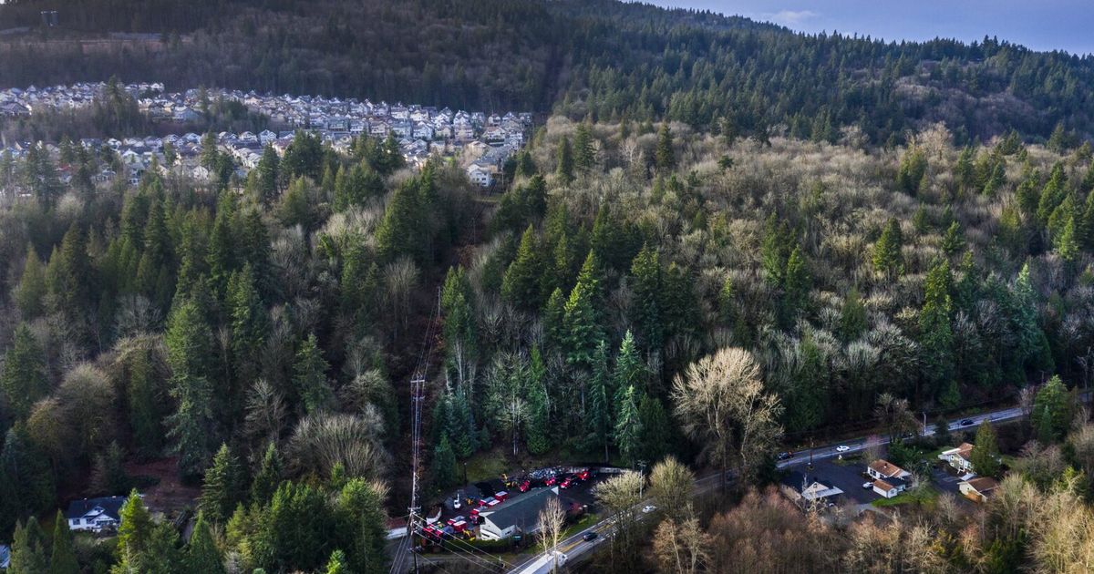 The Times recommends: Approve King County Proposition 1, Conservation ...