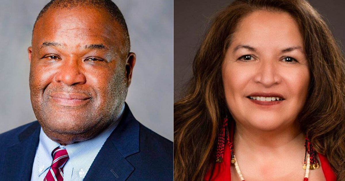 Boyce, Kauffman vie for WA senate in swing district with Kent, Auburn ...