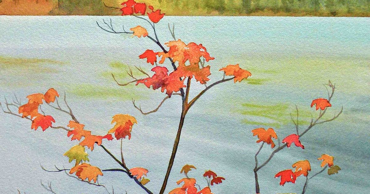 A Seattle artist’s inspired guide to our majestic ‘Trees of the West ...