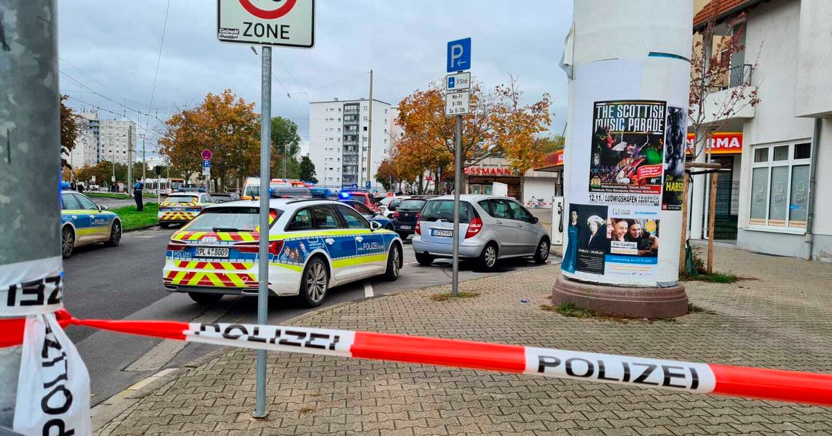 2 killed in stabbing in southwest Germany, suspect detained | The ...