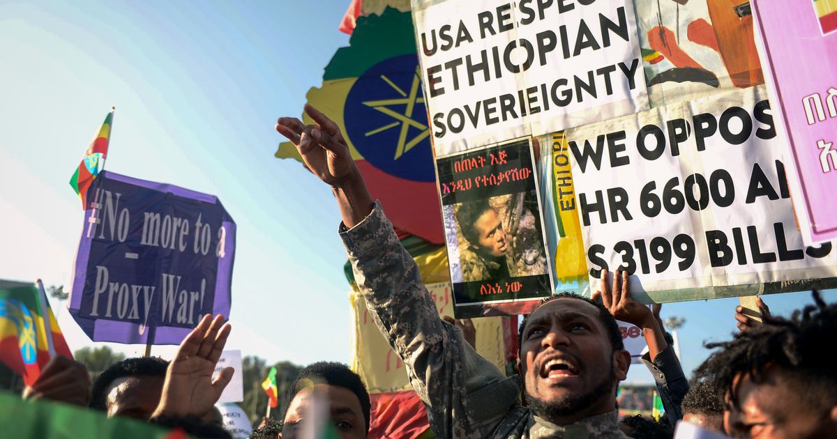Ethiopians protest against outsiders amid Tigray conflict | The Seattle ...