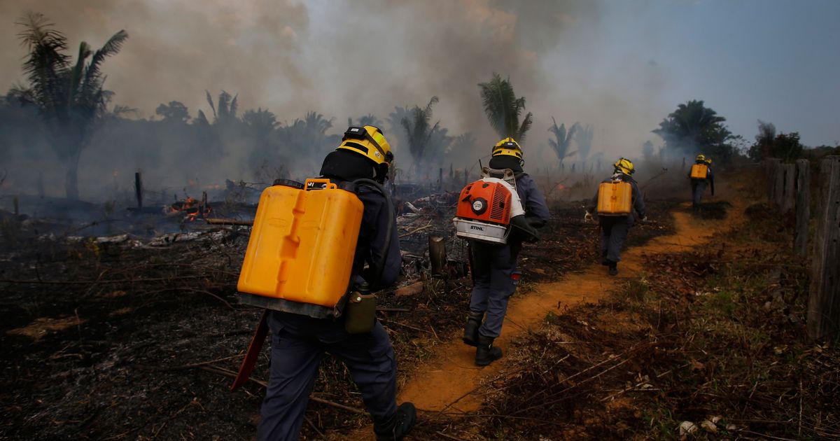 Worst Brazil forest fires in a decade, yet election silence | The ...