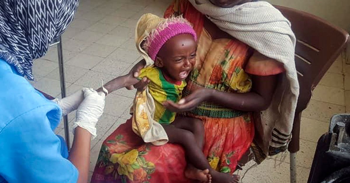 Babies in Tigray dying at 4 times pre-war levels, study says | The ...