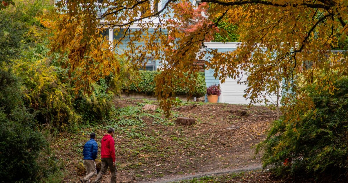 11 things to do in the Seattle area this weekend | The Seattle Times