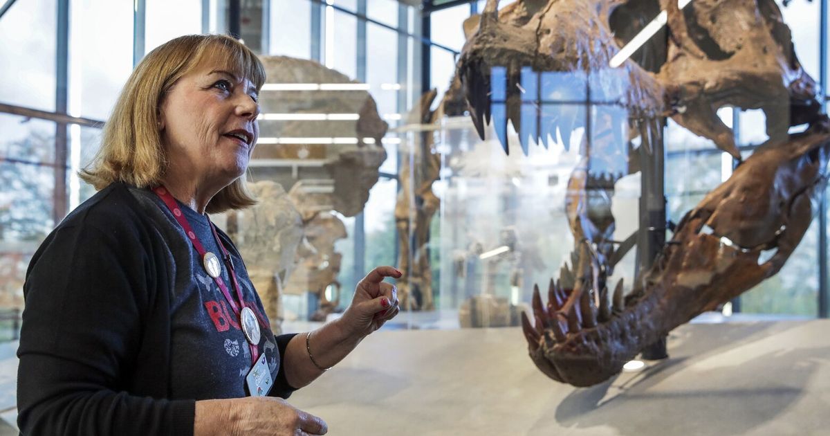 A ‘T. rex rotisserie’ and other favorites from a Burke Museum staffer ...