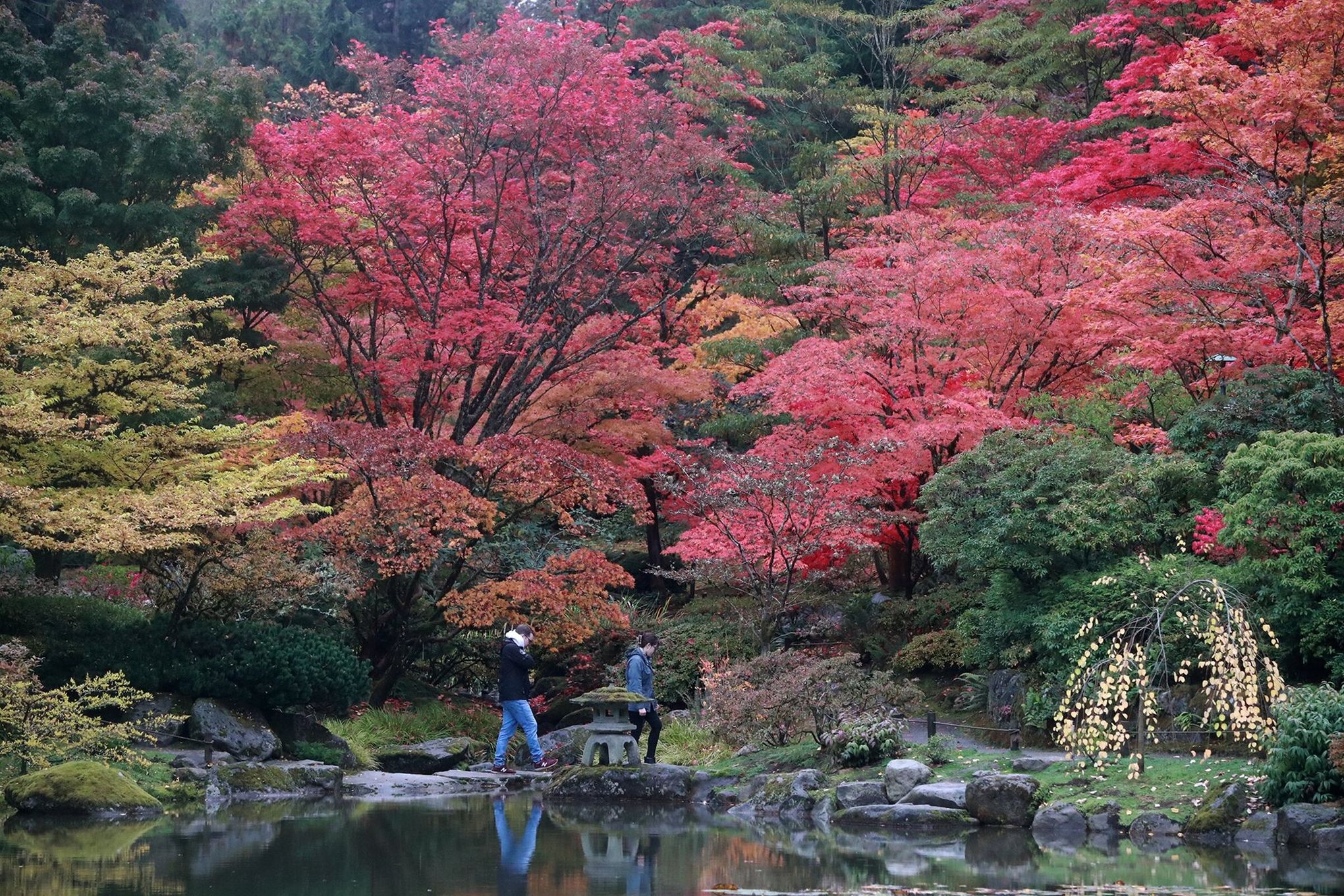 Seattle Japanese Garden By
