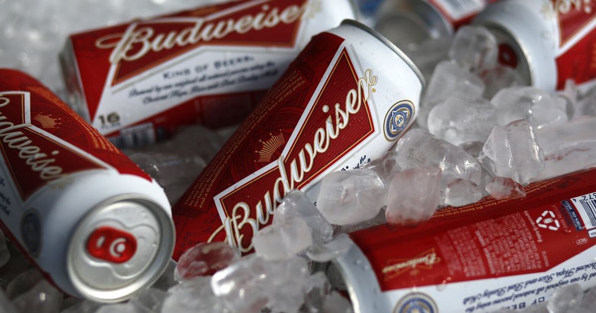 Qatar bans sale of beer at World Cup stadiums in about-face | The ...