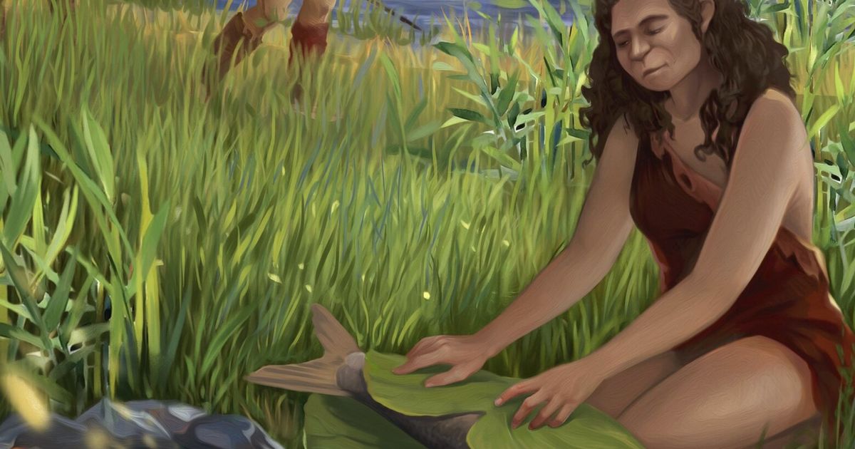 How cooking food and gathering for feasts made us human | The Seattle Times