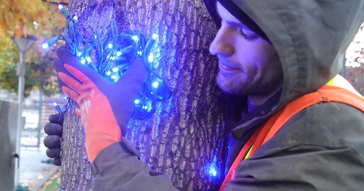 Lumen Field plaza in Seattle lights up in Seahawks colors for the ...
