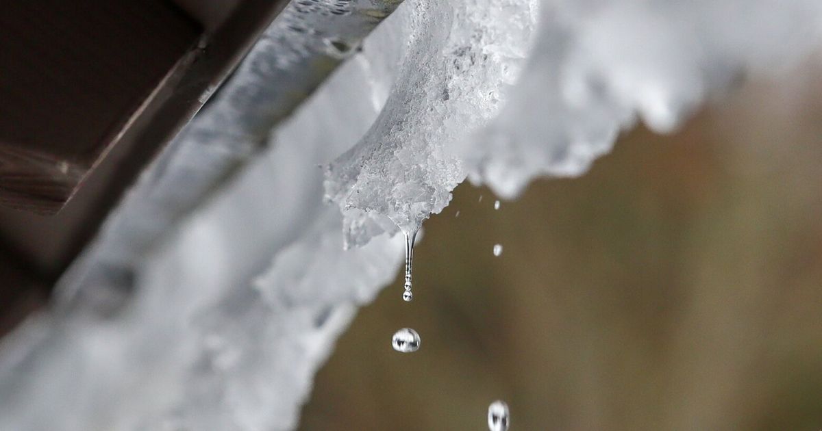 Seattle-area weather updates: Freezing temps, lowland snow and more ...
