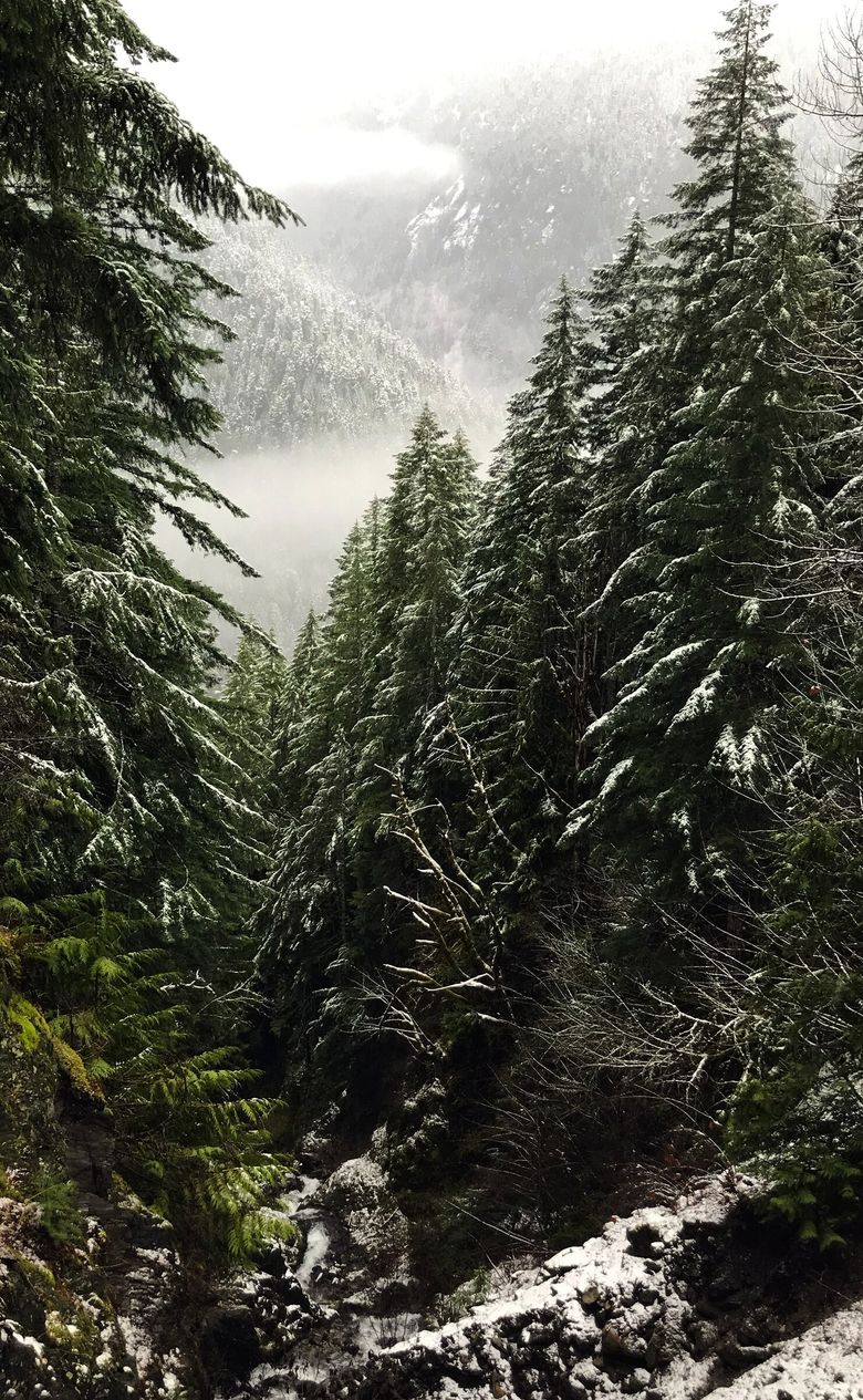 David’s Lens: A special entry from an art director with an eye for ...