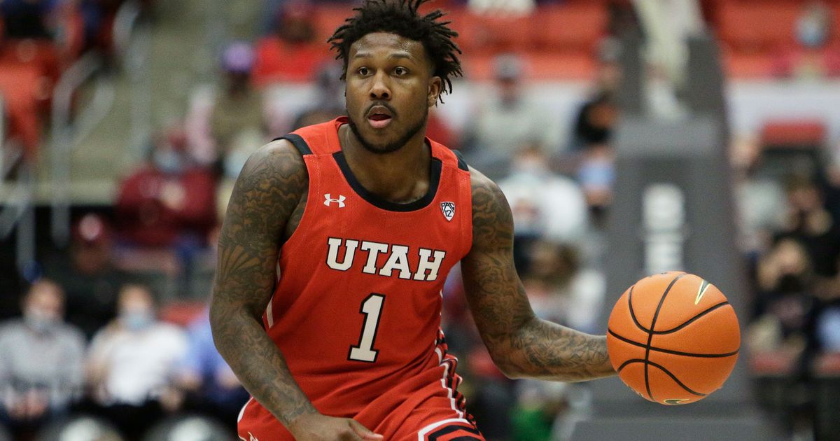 Jenkins brings years of experience to young Purdue squad | The Seattle ...