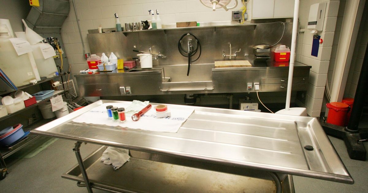 National forensic pathologist shortage slows autopsies in WA | The ... National forensic pathologist shortage slows autopsies in WA | The ...