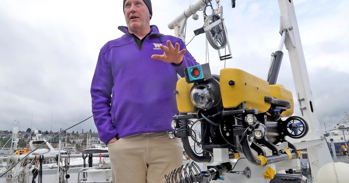 Diving drones and a timid octopus: WA treasure hunters find shipwreck ...