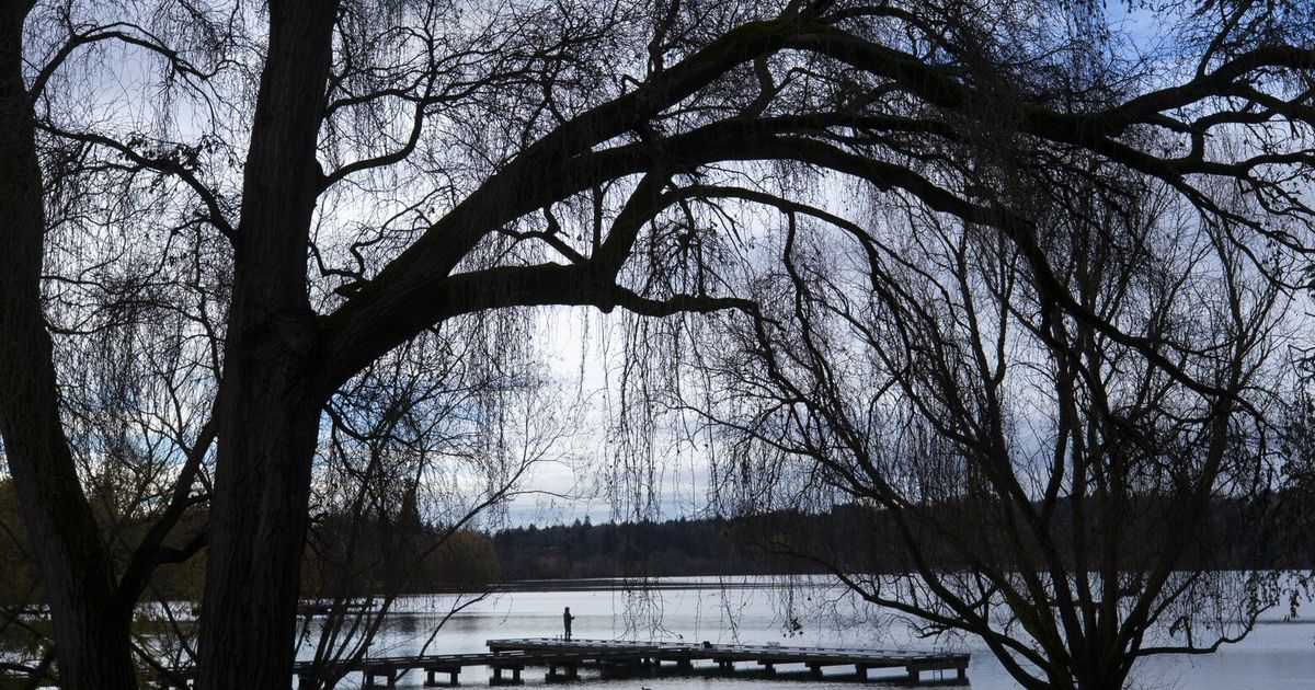 A quiet weather week in store for Seattle | The Seattle Times