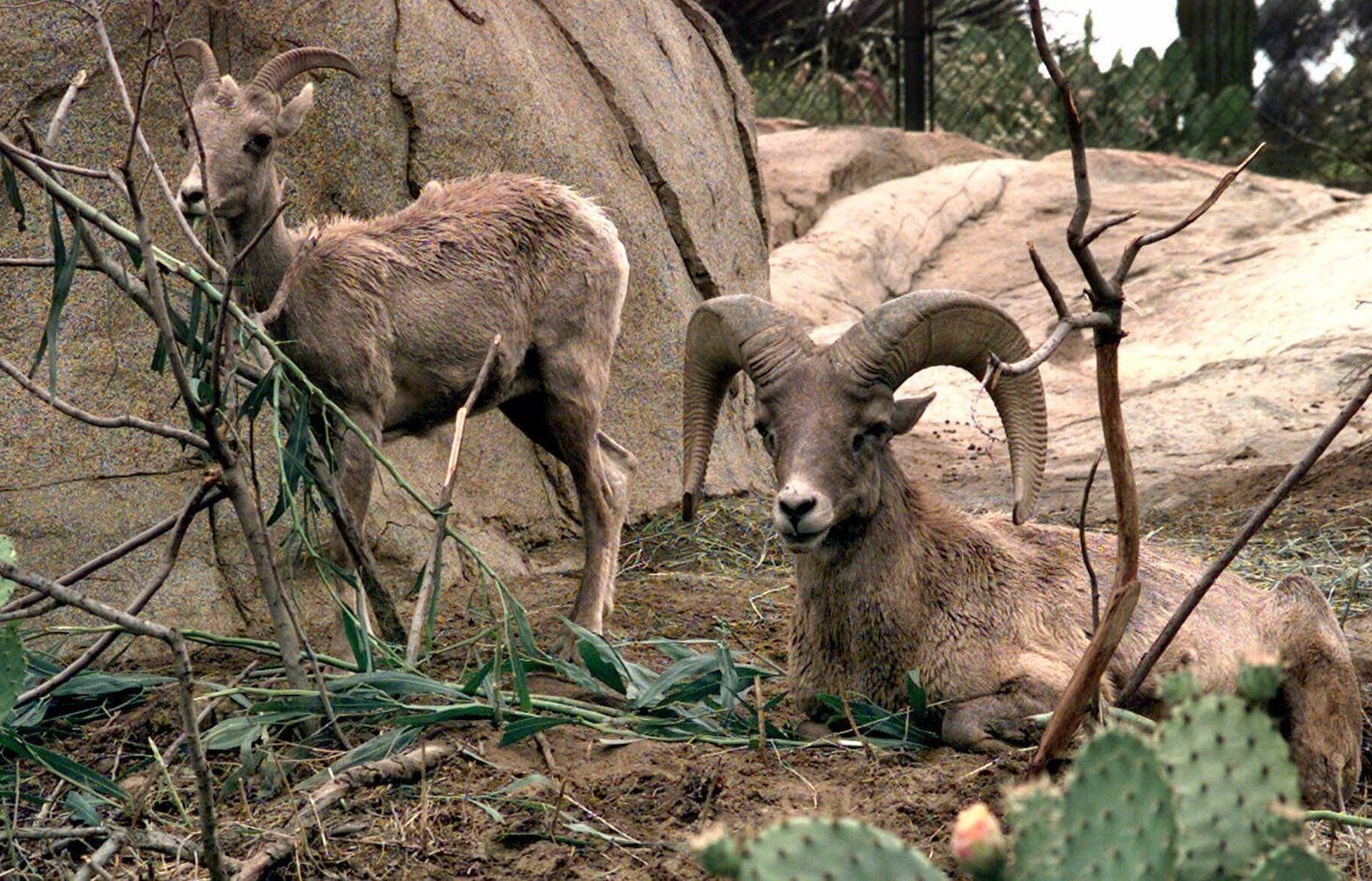 Brooke Staggs | The Seattle Times