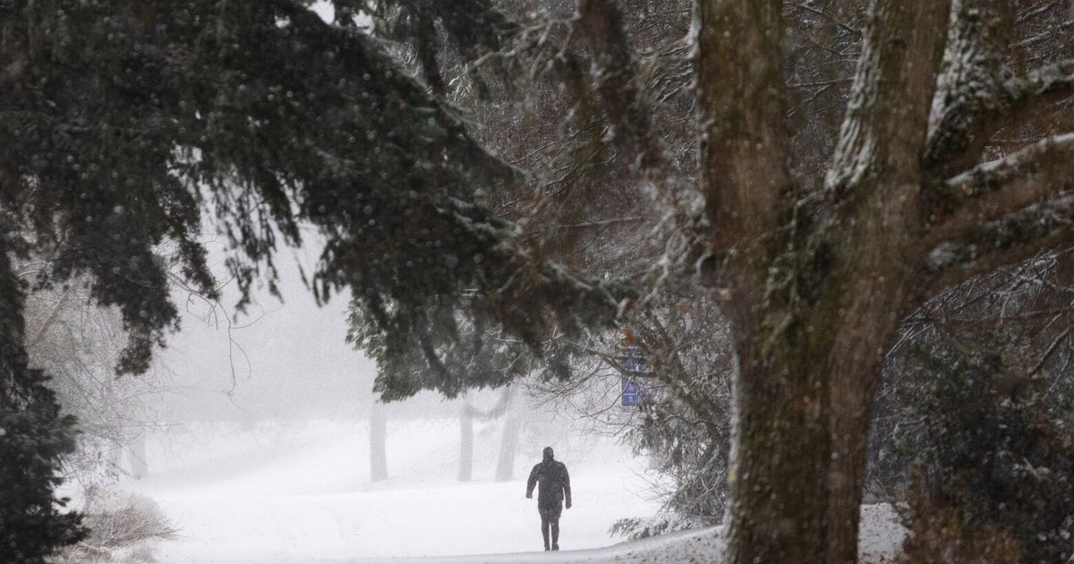 Seattle-area weather updates: Snow, chilly temps and slick roads | The ...