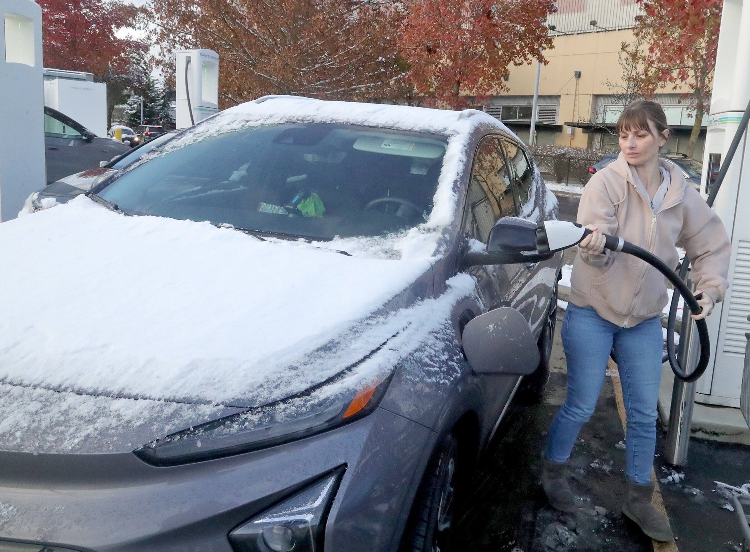Tesla cold weather store