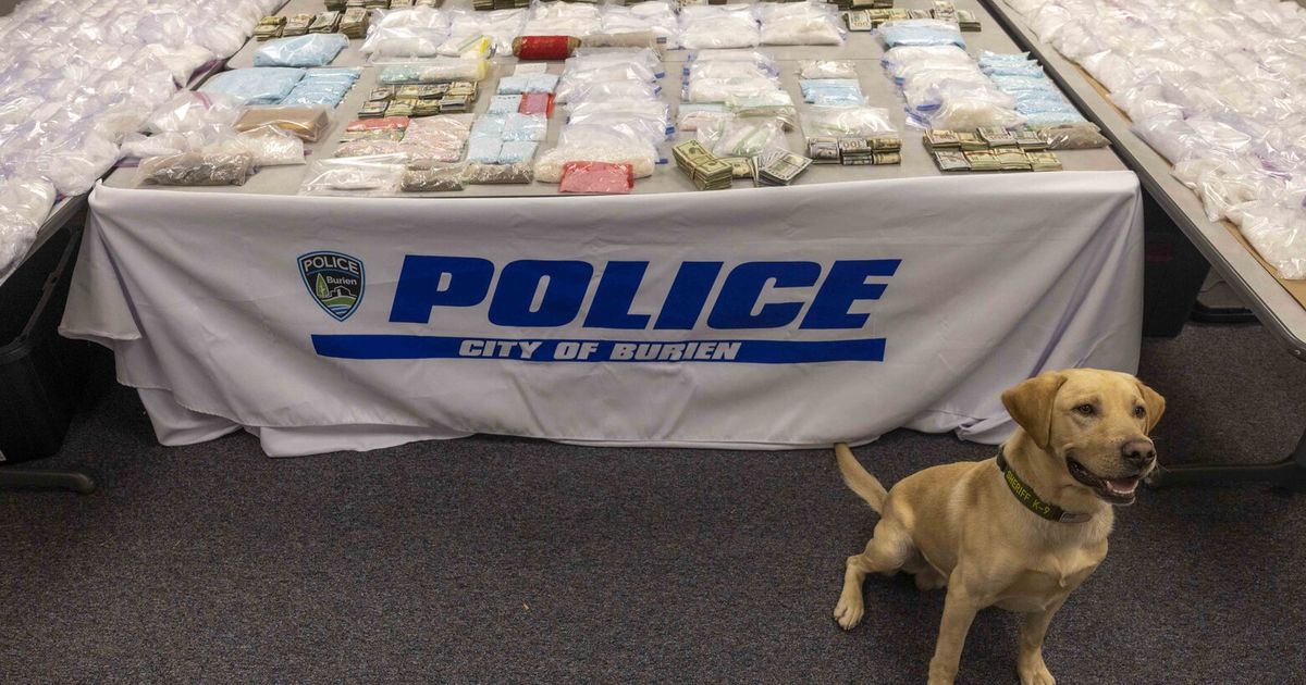 Major King County drug bust nets $10M worth of meth, fentanyl, heroin ...