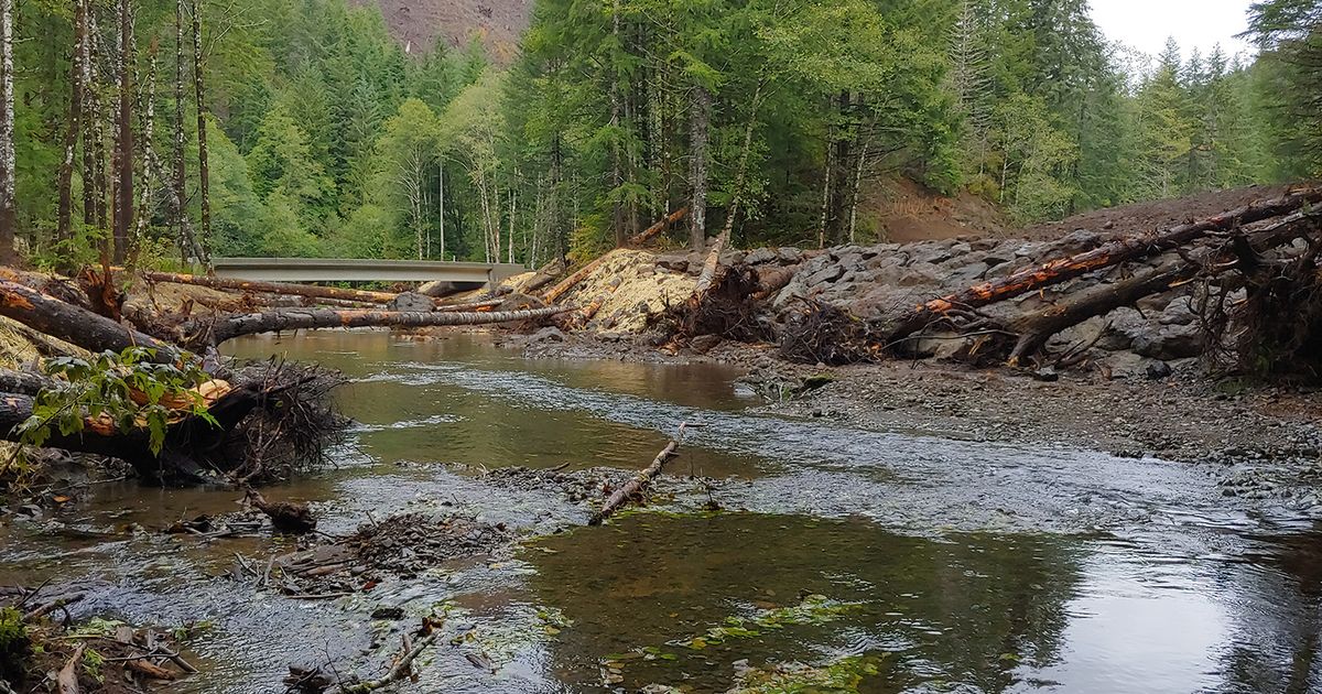 Creating safe passage for salmon in Washington state | The Seattle Times