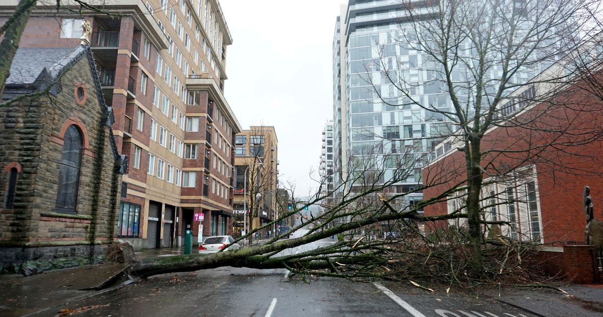 Fatal crashes, power out as waves, winds batter Northwest | The Seattle ...