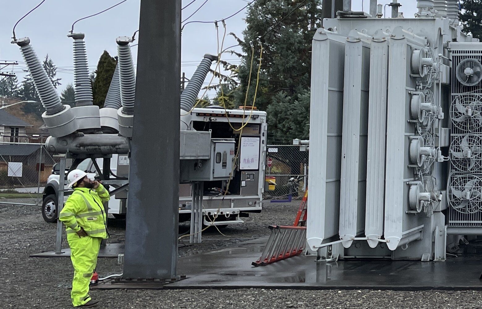 Woman plotted with neo-Nazi to attack power grid, feds say | The ...