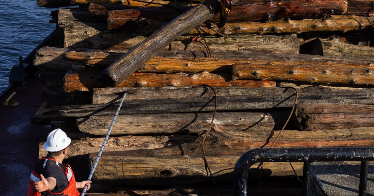 How stray logs in Puget Sound turn industrial shorelines green | The ...
