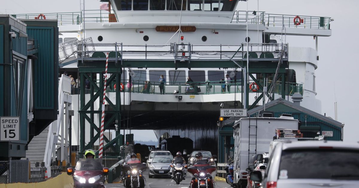 Submerged log just another obstacle to revival of WA ferries | The ...