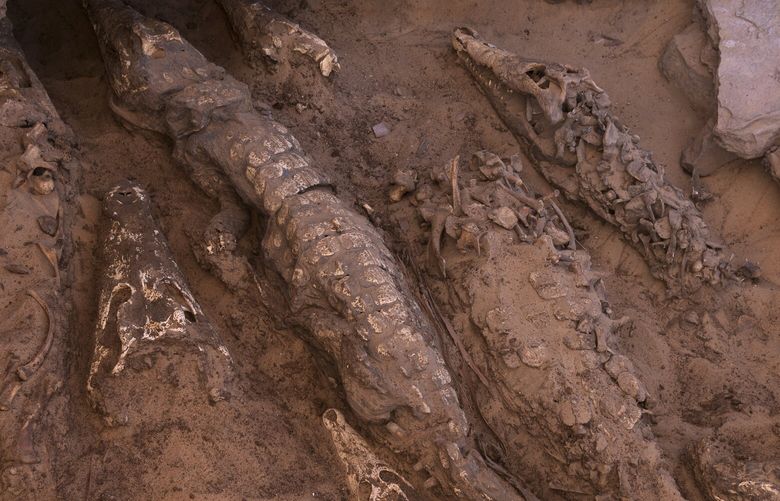 Sam Jones | The Seattle Times