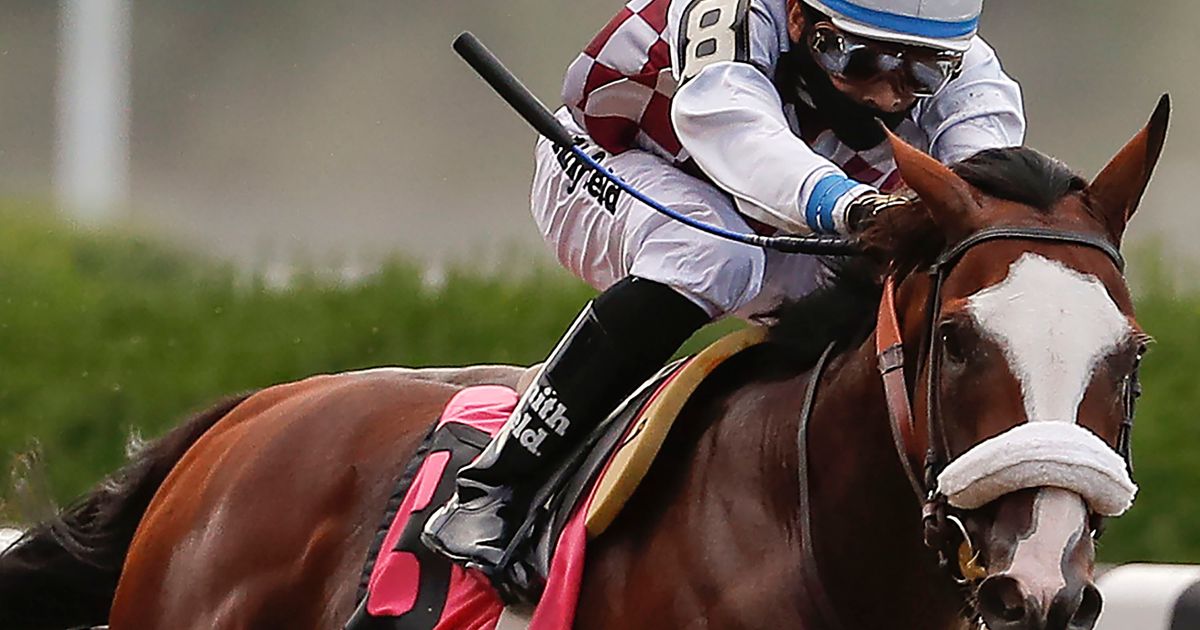 Jockey Manny Franco ties mark with 6 wins on Aqueduct card | The ...