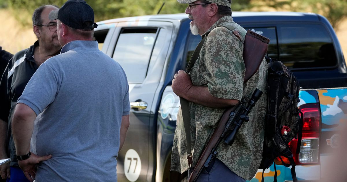 Escaped tiger in South Africa found and euthanized | The Seattle Times