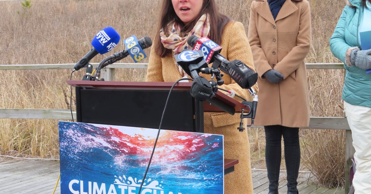 Groups: ‘No evidence’ offshore wind killing whales in NJ-NY | The ...