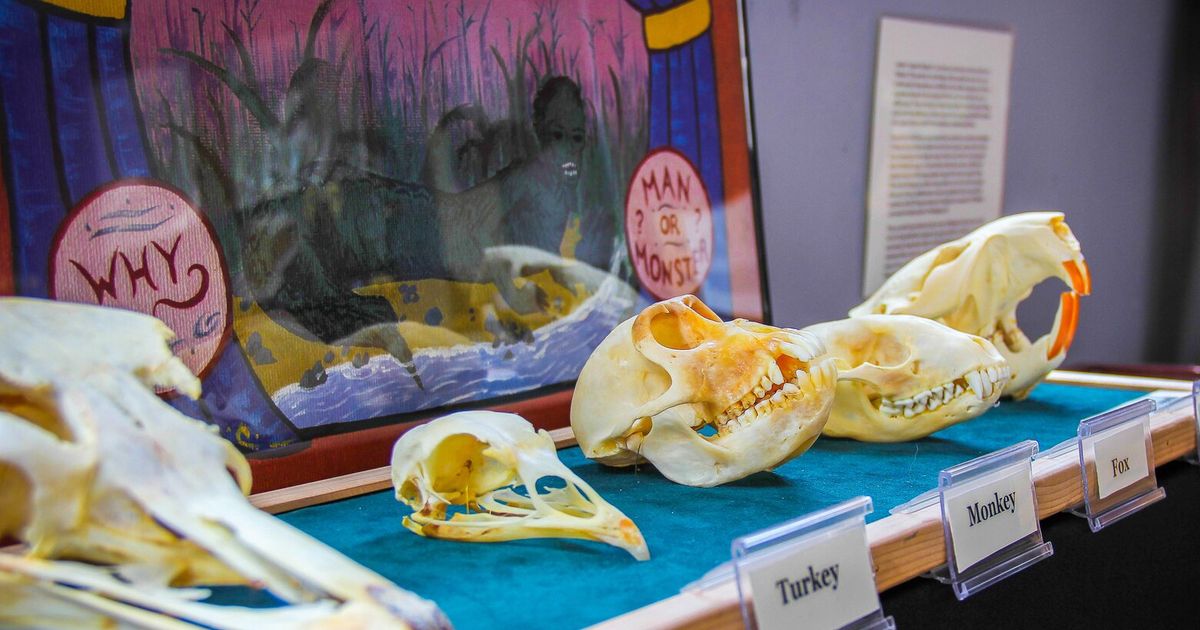 Venture off the beaten path with these 7 Western WA museums | The ...
