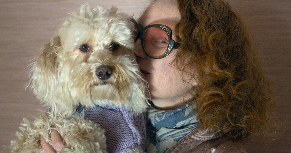 Nausea, wobbling, confusion: Dogs are getting sick from discarded weed ...