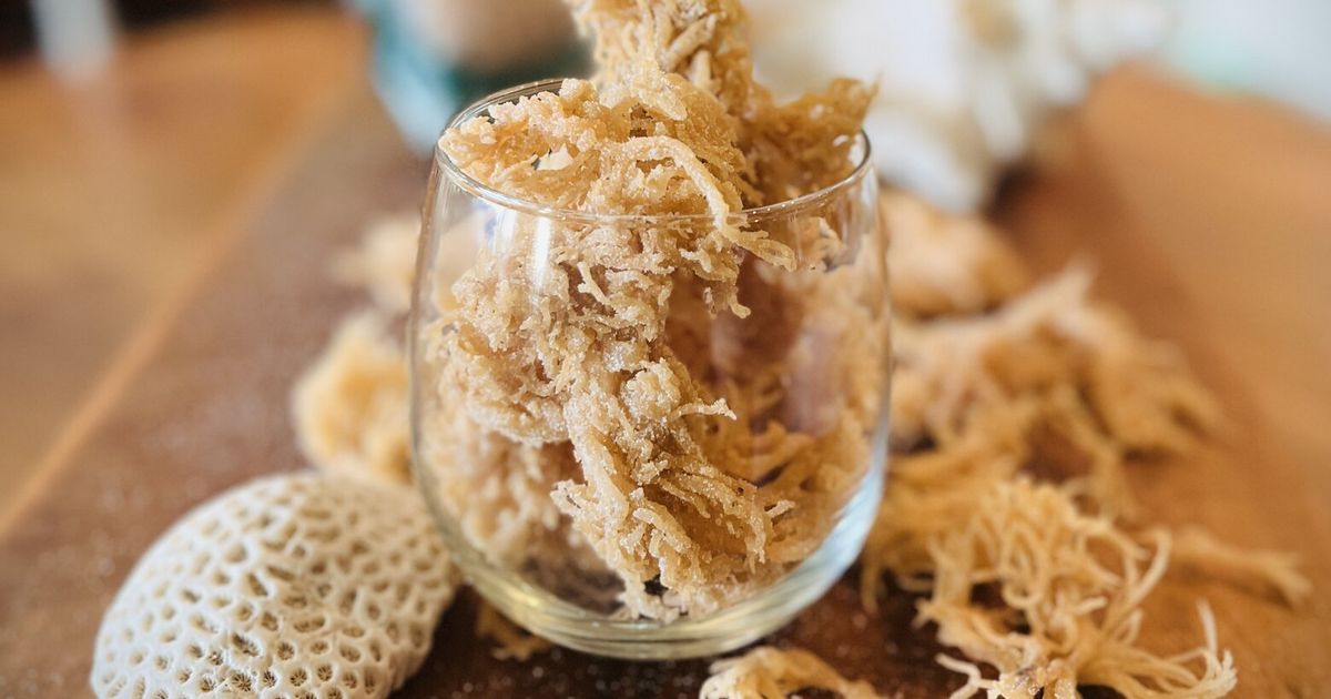 How to make trendy Irish Moss: It’s like eggnog — except with algae ...