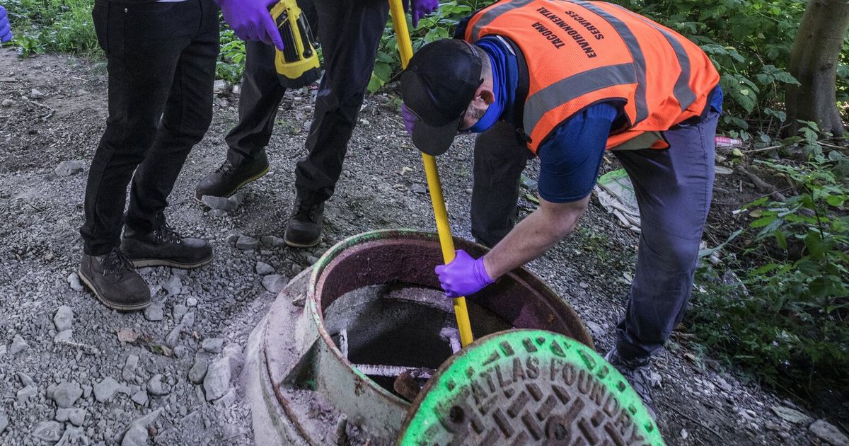 Wastewater testing isn’t just for COVID: WA expands efforts | The ...