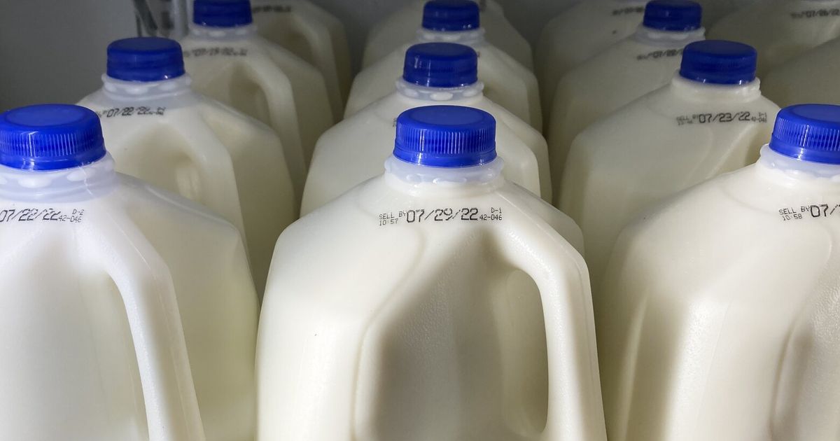 No cow needed: Oat and soy can be called milk, FDA proposes | The ...