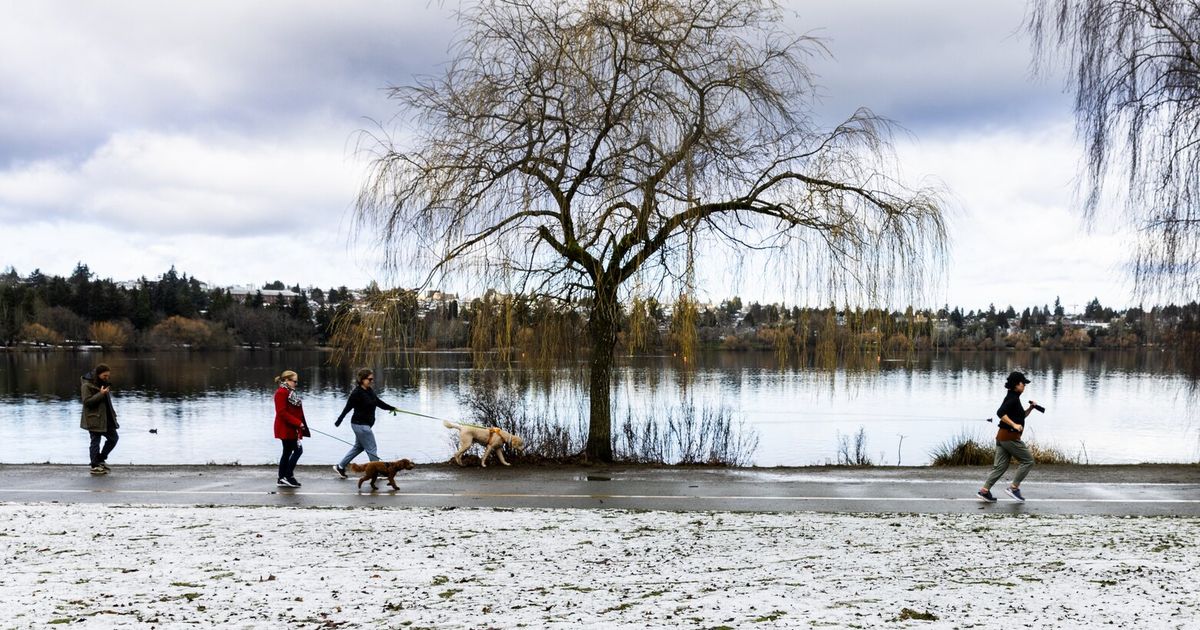 February is almost over, but WA winter still here with snow, rain on ...