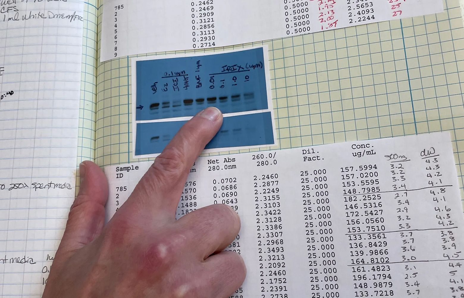 Teddy Rosenbluth | The Seattle Times