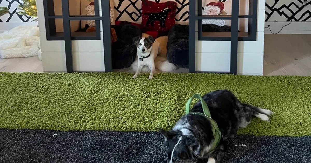 A dog playhouse, built-in crates and a feeding station — turning a home ...