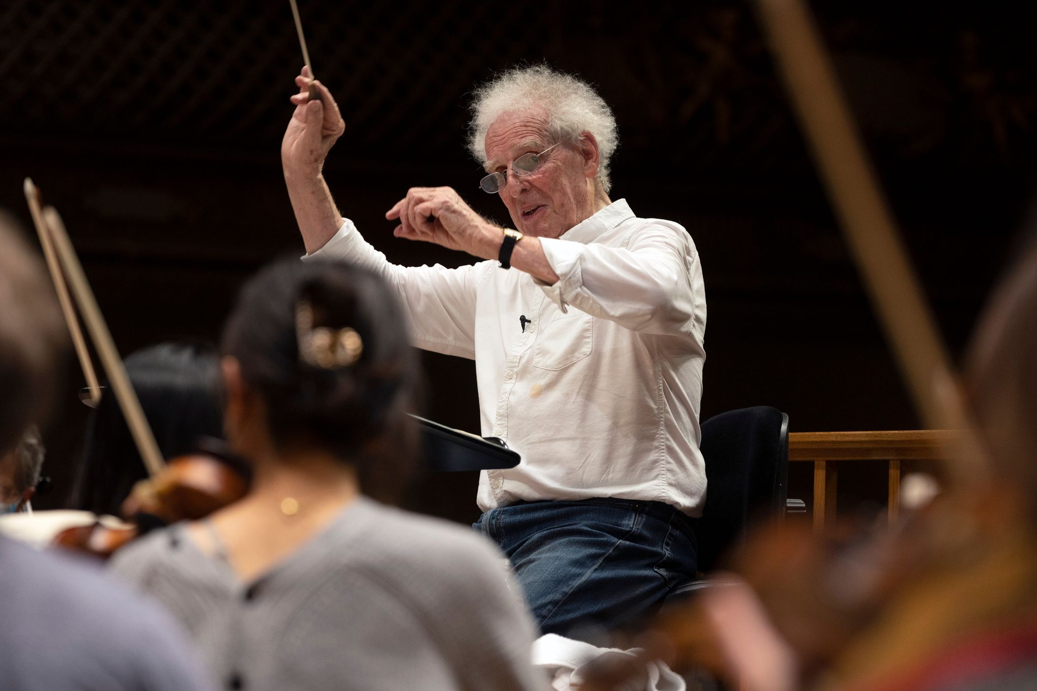 Beethoven Conducting Baton