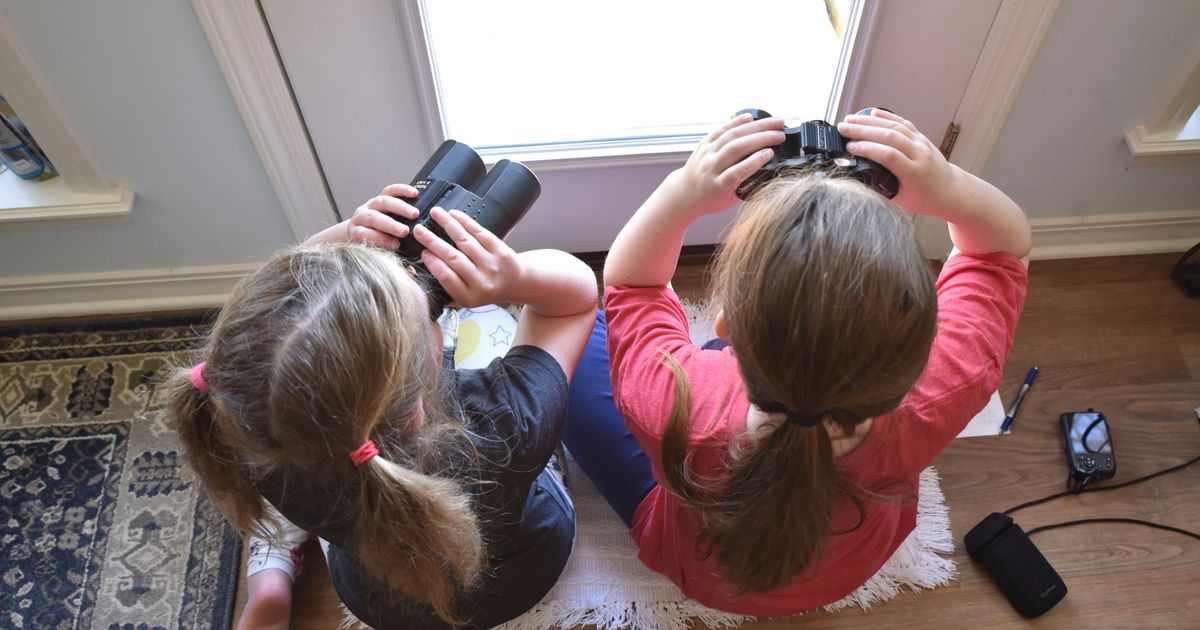 At 25, Backyard Bird Count shows power of citizen science | The Seattle ...