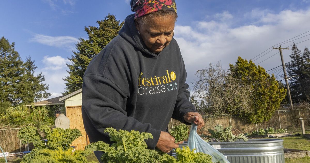 Seattle’s P-Patch program celebrates 50 years of community gardening ...
