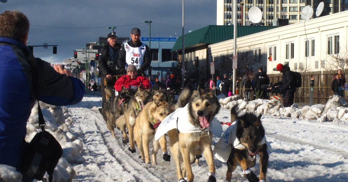 Alaska’s arduous Iditarod kicks off with ceremonial start | The Seattle ...