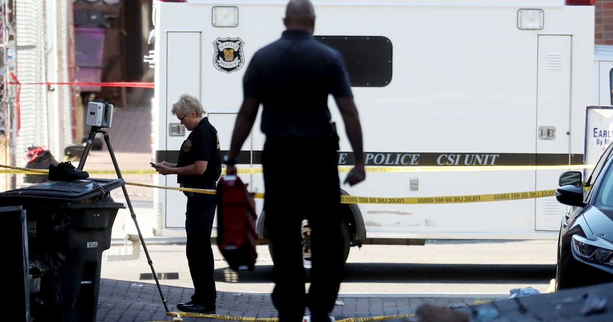 More Seattle cops are needed to improve public safety, poll finds | The ...