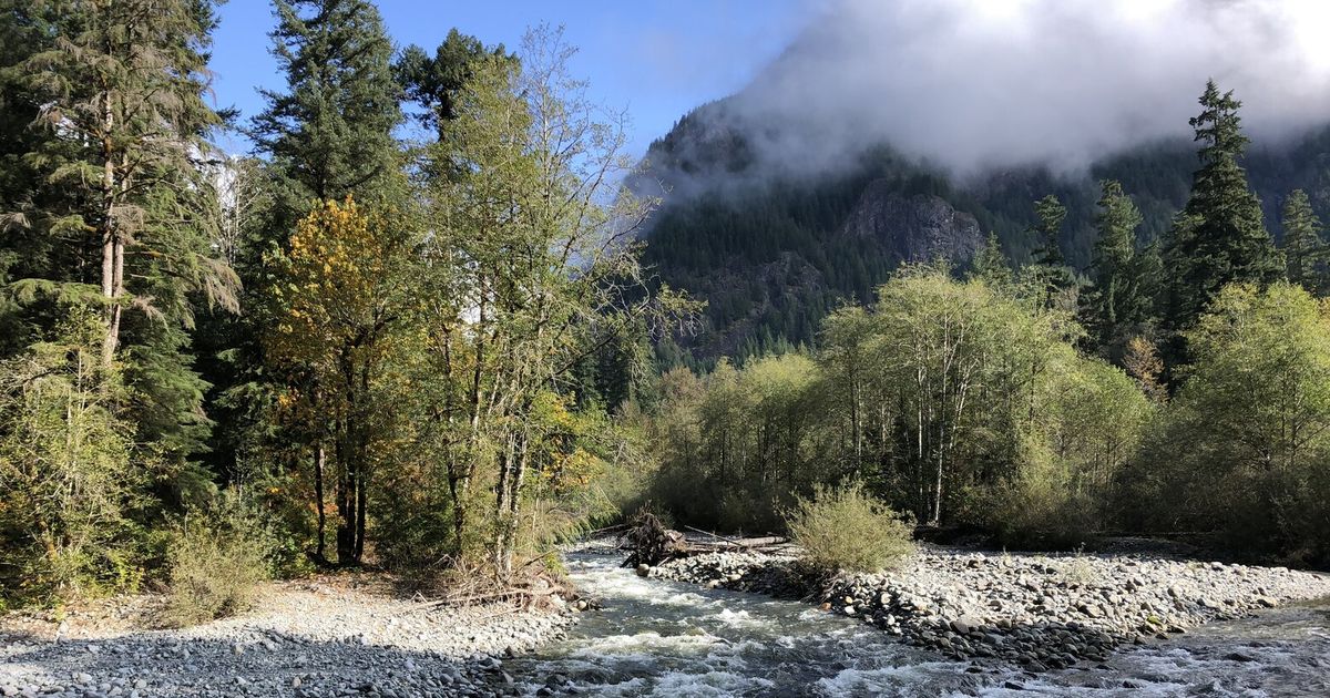 Spring is near. Try 5 great Middle Fork Road hikes (that aren’t Mailbox ...